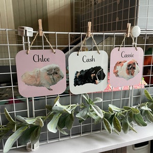 Rat Cage Tag Rat Cage Accessories Rat Name Tag Rat Cage | Etsy