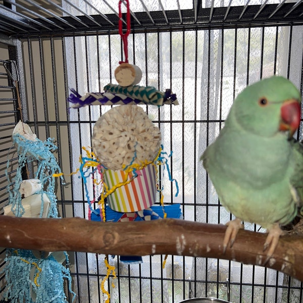 Sola Ball Fun Hand Made Toys for Small to Medium Pet Birds Using Safe ...