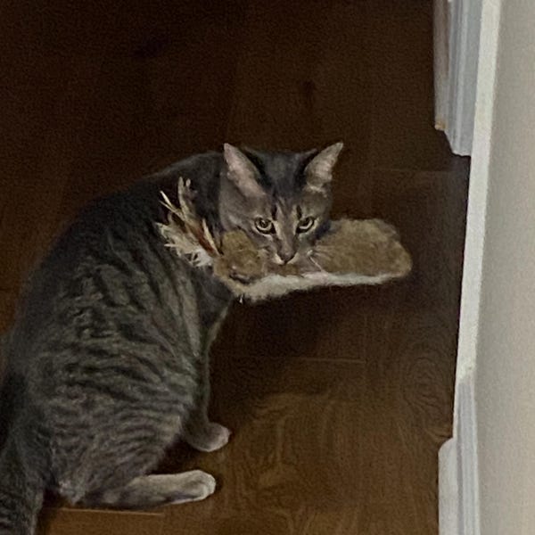 Hemp Fabric and Feathers Cat Kicker Toy With Catnip by Your Choice ...