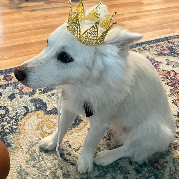 Princess Dog Crown, Elegant Pet Costume - Etsy