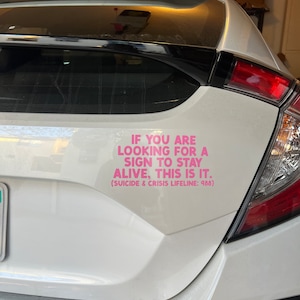 Please Don't Hit Me I Don't Know How Insurance Works / Funny Bumper ...