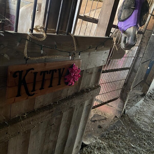 Custom State Engraved Outdoor Wood Sign Cabin, Horse Stall, Home ...