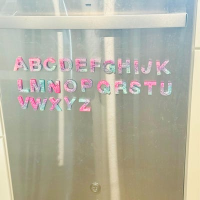 Seashell Magnet Set of 8 Ocean Magnet for Fridge, Cute Desk Accessories ...