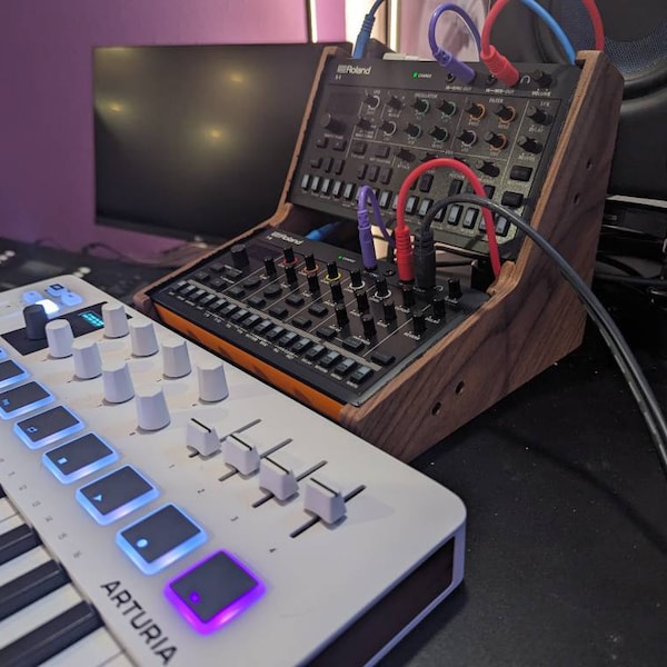 Roland Aira Stand for 2 Synthesizer Modules - Etsy
