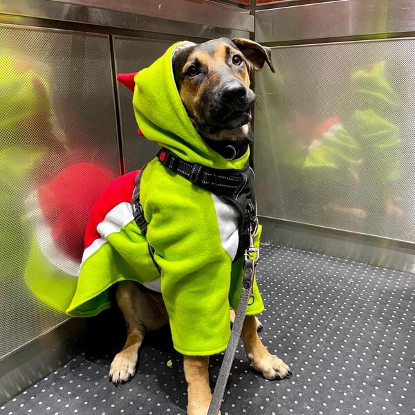 Yoshi From Super Mario Brothers Pet Costume XS to XL - Etsy