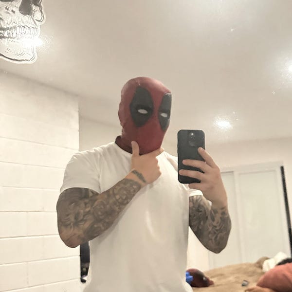 Deadpool 3 Style Halfshell Costume Cosplay Mask With Screen Printed ...