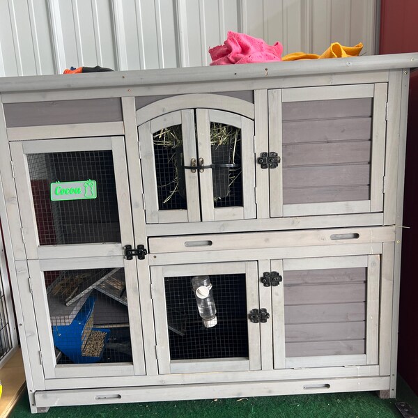 Personalized Rabbit Name Sign, Custom Cage Nameplate, Bunny Pet Tag ...