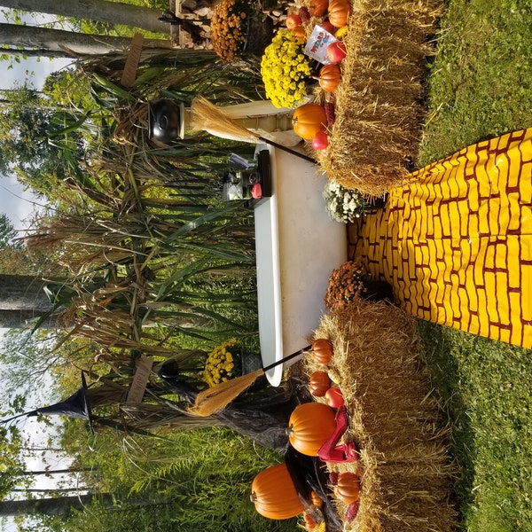 32 Inch Dried Corn Stalks Bundle Fall Decor Halloween/thanksgiving Fall ...