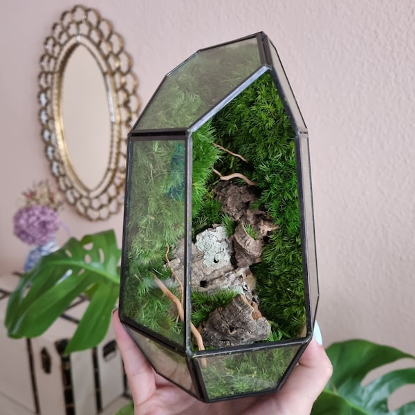 Geometric Terrarium | Prism | Desktop Mossarium Centrepiece | Preserved ...