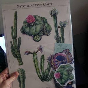 Psychoactive Cacti Botanical Art Print - Etsy