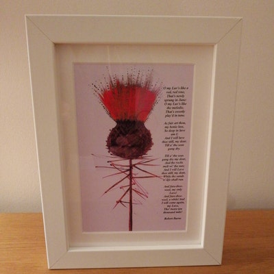 Scottish Thistle Framed Print, Robert Burns Poem, Scottish Gift ...