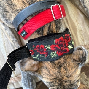 Bold and Bright Ring Lead With Tug Agility Lead-barn Hunt Lead Fyball ...