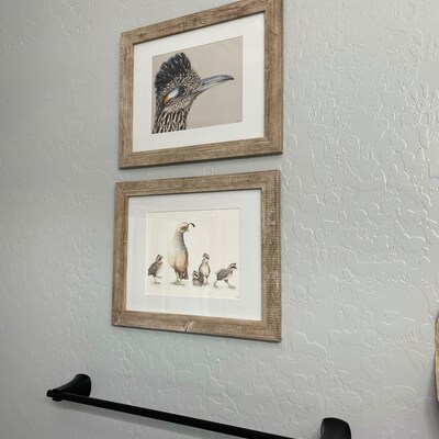 Patient Quail Scientific Illustration Quail Family Funny Desert ...