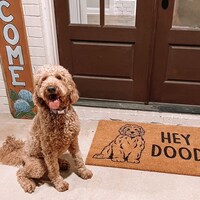 1426 Hey Dood Golden Doodle Dog Goldendoodle Doormat Labradoodle ...