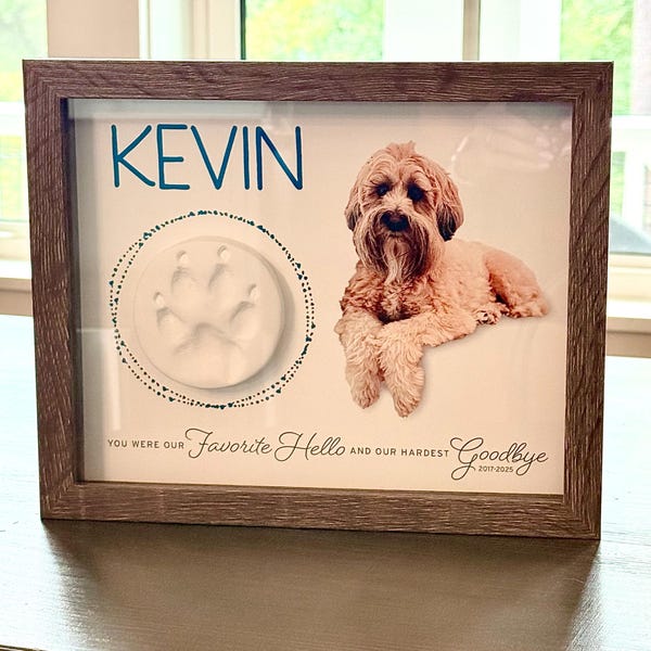 Pet Memorial Shadowbox: Paw Print Keepsake Shadow Box Frame With Dots ...