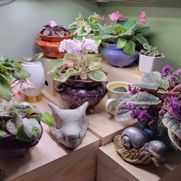 Ceramic Violet Pot (sm. Herb Garden) - Etsy