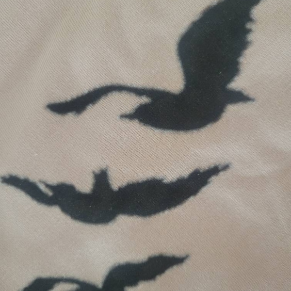 This Savage Song - August Flynn - Monsters of Verity- Sing You a Song ...