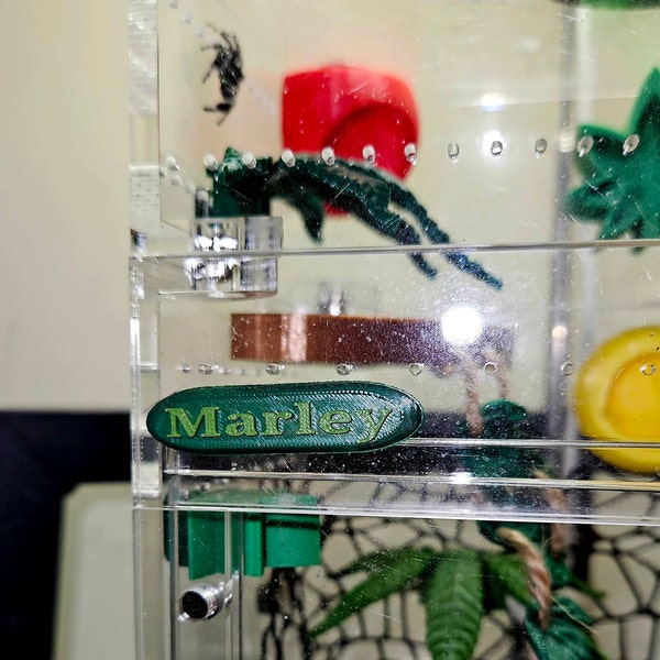3D Printed JC Original Magnetic Coffin Jumping Spider Hide - Etsy
