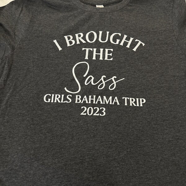 Girls Trip Shirts, Girl's Trip 2025 Tee, Girls Weekend Shirts, I'll Bring the Shirt, I Brought ...