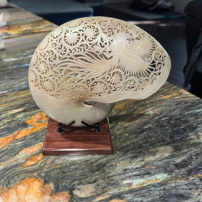 Carved Pearl Nautilus Shell Dragon Carving,real and Natural Nautilus ...