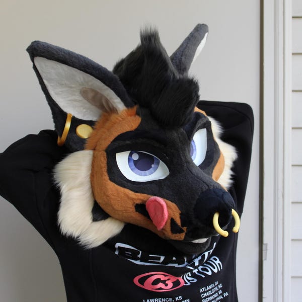 Custom Color Heart Fursuit Eye Mesh - Etsy