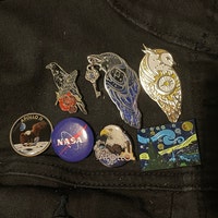 Eclipse Birds Pins - Etsy