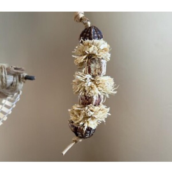 Crazy Daisy - Natural Grass Chew Toy for Small and Medium Sized Birds ...