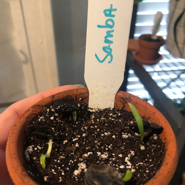 Vogue 1627: Designer Caftan Pattern, Sizes X-small, Small, and Medium ...