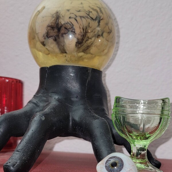 10 to 11 River Cooter Turtle Shell 1077-1011 Y3K - Etsy