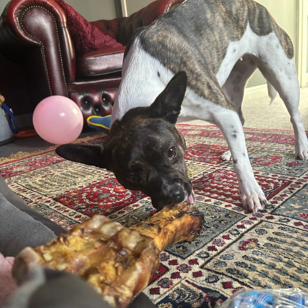 The Everlasting Chew Box! Tougher Natural Chews for Dogs. Longer ...