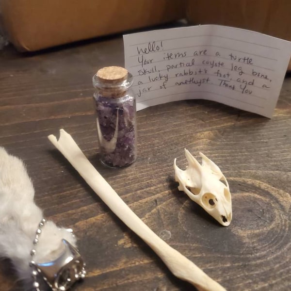 Bone, Skulls, and Oddities Mystery Bag - Etsy