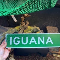 Netball, Netball Sign, Netball Fan, Netball Gift, Netball Player, Old ...