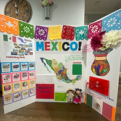 Anatomy HUMAN BRAIN Foldable Anatomically Correct Paper Hat W/lobes ...