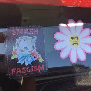 Cute Kitty Smash Fascism Sticker Antifa Sticker Anti-fascist Sticker ...
