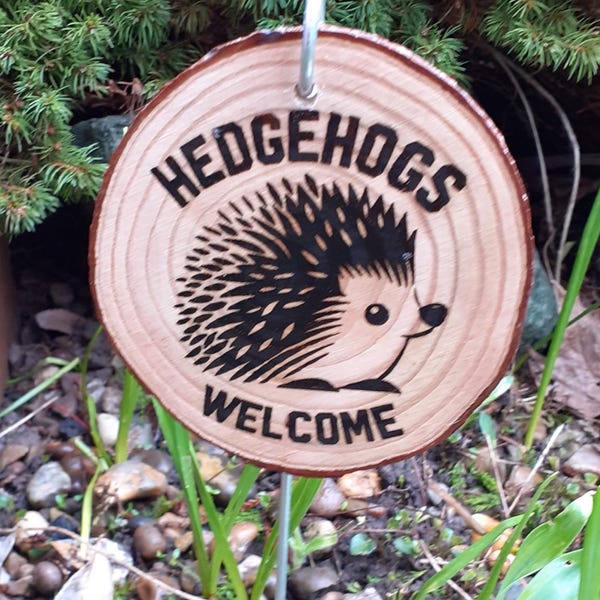Wildlife Custom Pond Sign/plaque Laser Engraved/ Hand Painted- Pond ...