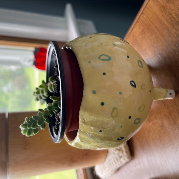 Special Edition! the Spotty Dotty Collection - Ceramic Planter ...