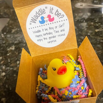 Waddle It Be Rubber Duck Gender Reveal Fizz by Mail Pregnancy ...