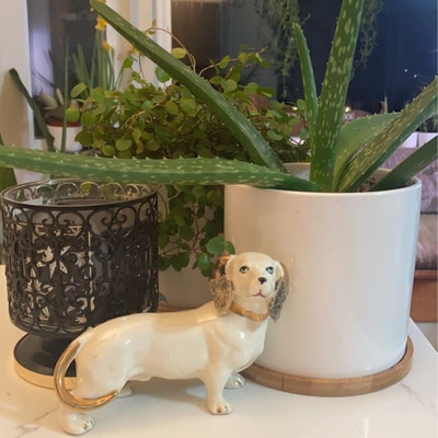 Napco / Vintage Rare Napco Pair Capering Calves / 1950s Pair - Etsy