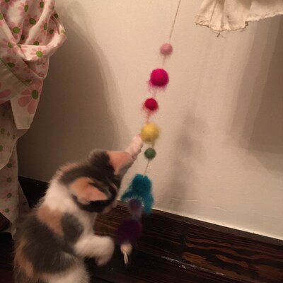 Customizable Felt Ball Fishing Cat Toy Felted Balls on Knotted Cord Cat ...