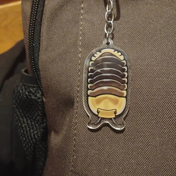 Isopod Artwork Acrylic Keychains Acrylic Cubaris Porcellio 20 Species ...