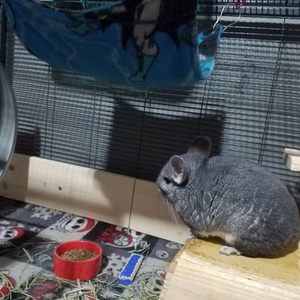 Cage Guards / Poop Guards - SAFEST & MOST AFFORDABLE Option for Keeping ...
