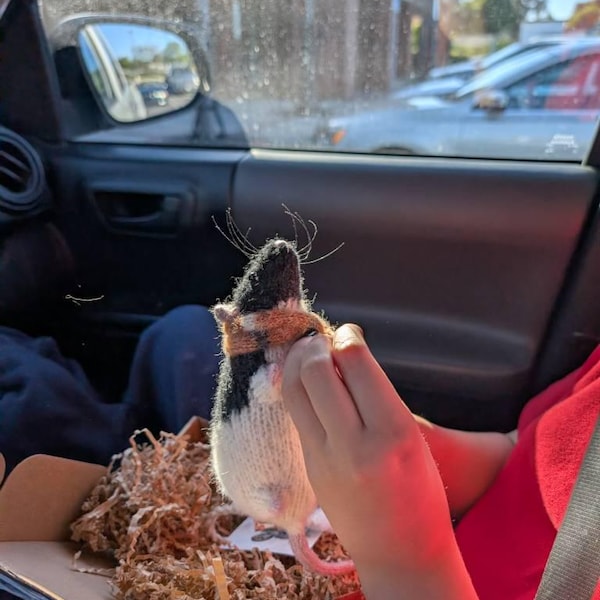 Knitted Realistic Rat Toy * Custom Rat Replica as Pet Memorial Gift - Etsy