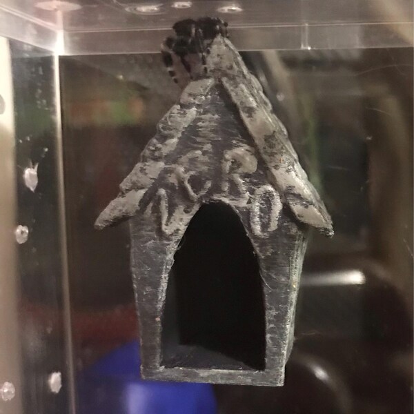 3D Printed Zero Dog House Jumping Spider Platform- NBC - Etsy