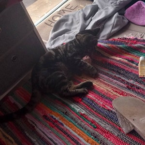 FIESTA Braided Square Rug Flat Weave With Natural Jute and - Etsy UK