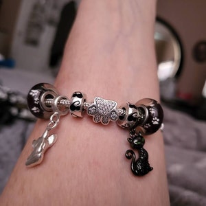 100th Anniversary Cinderella's Enchanted Charm,sliver Bracelet Charms ...