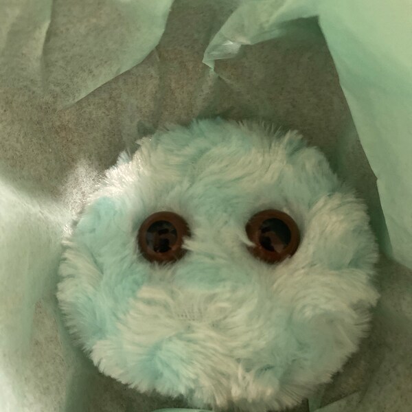 Worry Pet for Anxiety, Stress and Sensory Needs. - Etsy