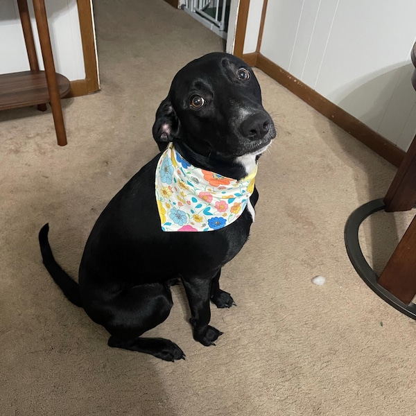 MEN'S UNDERBUST CORSET Pattern // Pdf Sewing Pattern for Men // Eu Size ...