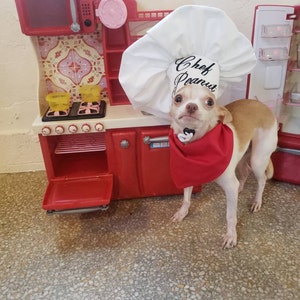 Chef Dog Costume Hat and Red Scarf - Etsy