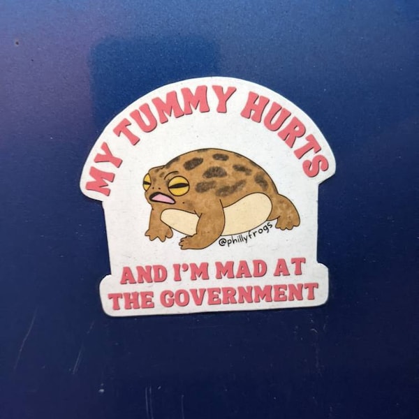 My Tummy Hurts and I’m Mad at the Government - Screaming Desert Rain ...