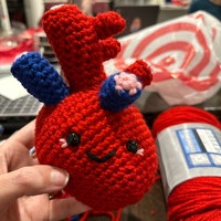 11 Crochet Organs Patterns EBOOK PDF Amigurumi Heart Liver - Etsy Australia